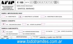 Conoce Como Completar El Formulario 155 De AFIP - Tramites Argentinos